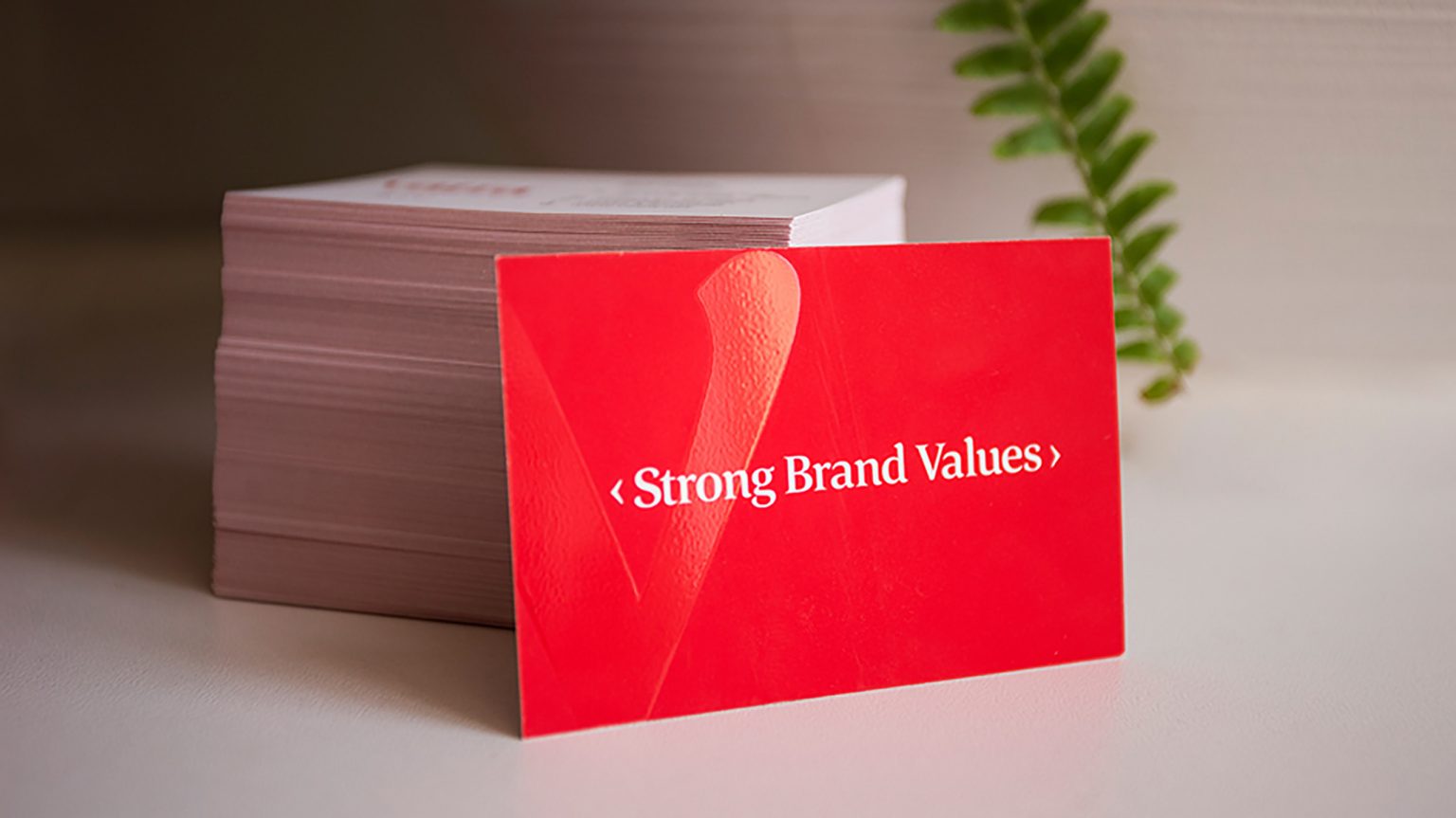 Vatra unveils new identity and concept - Vatra Agency